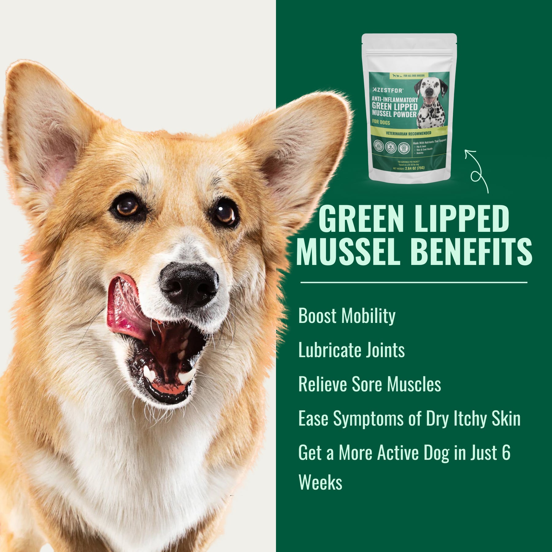 Green Lipped Mussel For Dogs Powder | Vet Approved | Boost Mobility ...