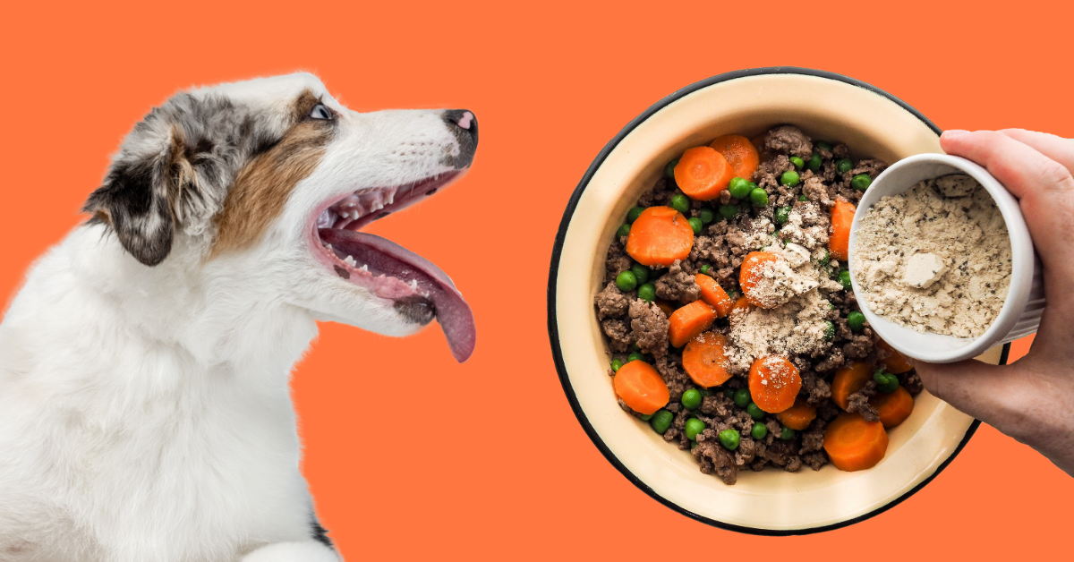 Homemade Dog Food Recipes Vet Approved – Azestfor