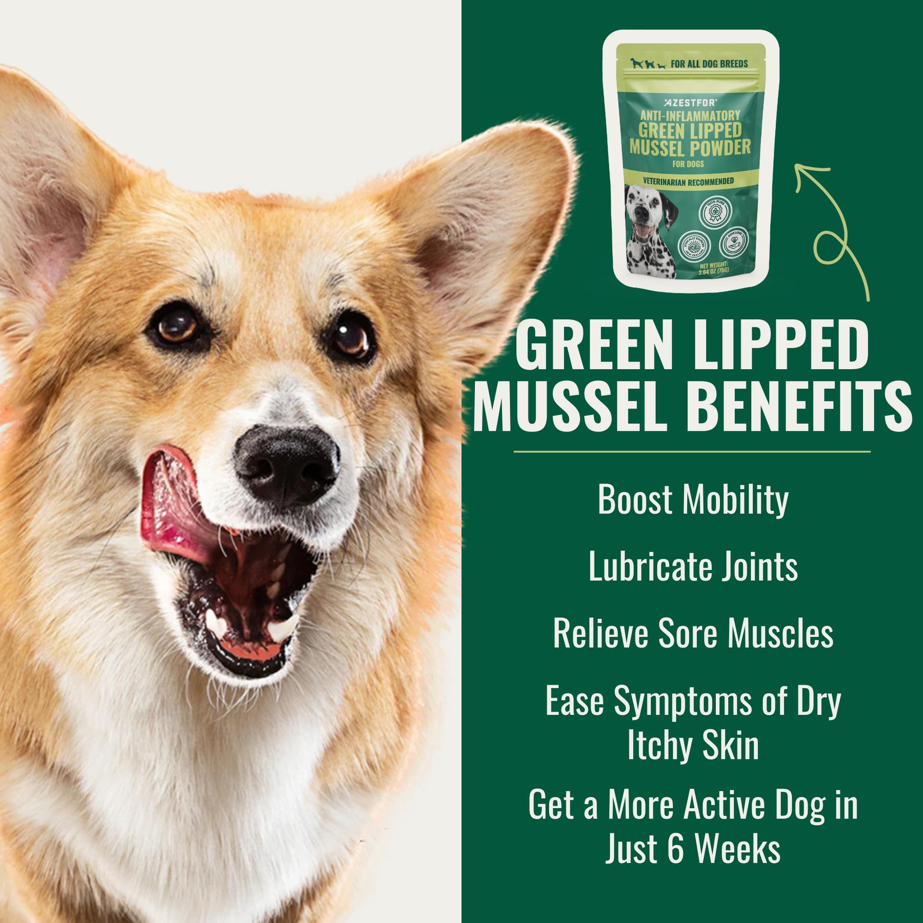 Anti-Inflammatory Green Lipped Mussel For Dogs Bundle of 3 packets ...