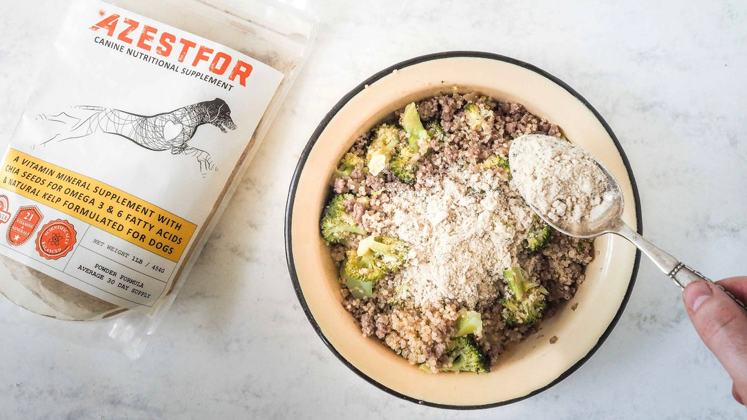 Cooking For Your Dog Simple Steps (Pics &Video) Beef, Quinoa, Broccoli ...