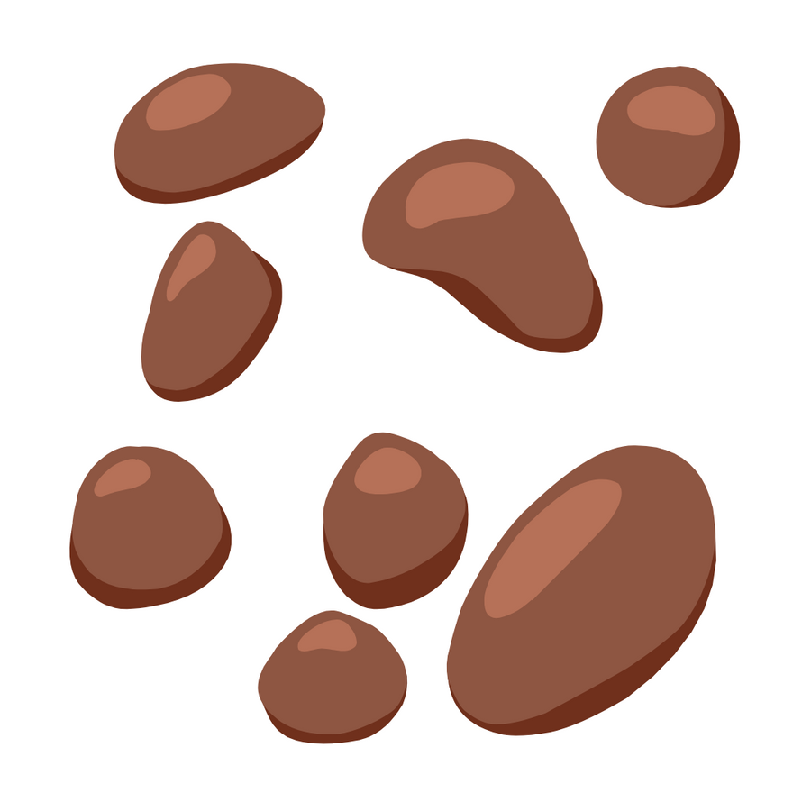 Poop Report – Azestfor